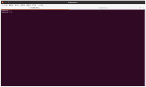 ubuntu 20.04の端末でメニューバー表示 | ubuntu | マイノリティでいこう
